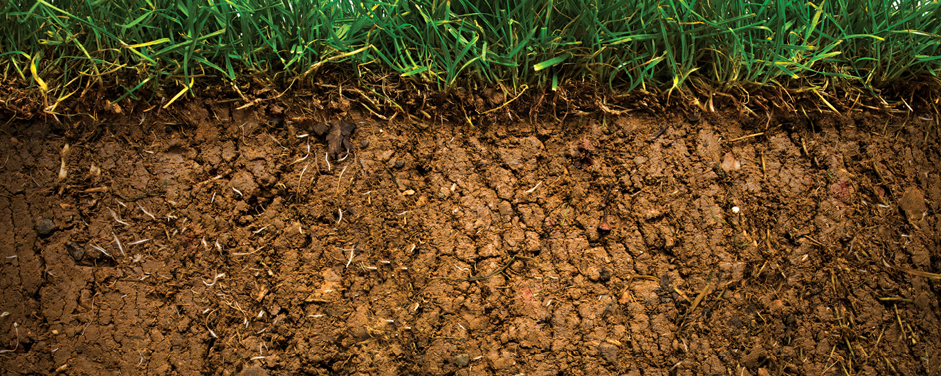 Knowing your soil type | PGG Wrightson Knowing your soil type | PGG Wrightson